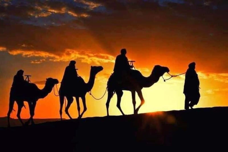 Tangier: Day Trip from Tarifa To Tanger { camel ride { plage - Discovering Tangier’s Historic Heart