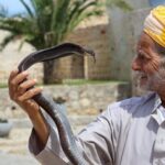 Tangier Private Half-Day Tour + Camel Ride + Add-on: Lunch - The Value of This Tour