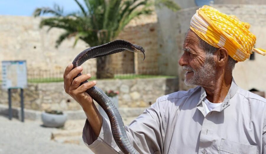 Tangier Private Half-Day Tour + Camel Ride + Add-on: Lunch - The Value of This Tour