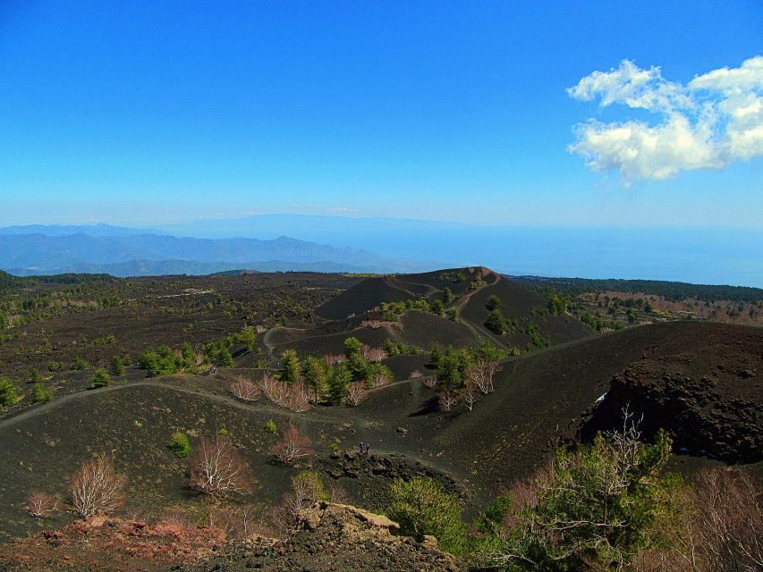 Taormina and Catania: Private Etna Exploration and Cave Tour - Why This Tour Offers Good Value