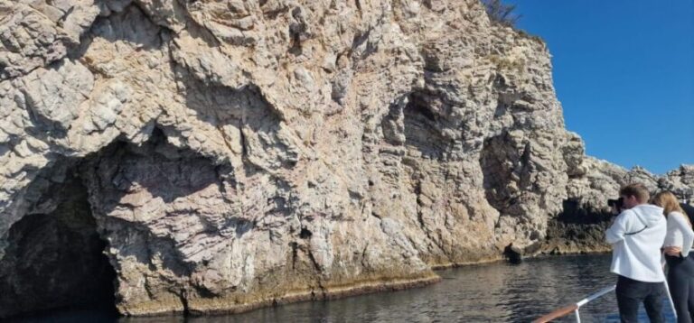 Taormina Coast Tour and Searching Dolphins - What to Expect on the Tour