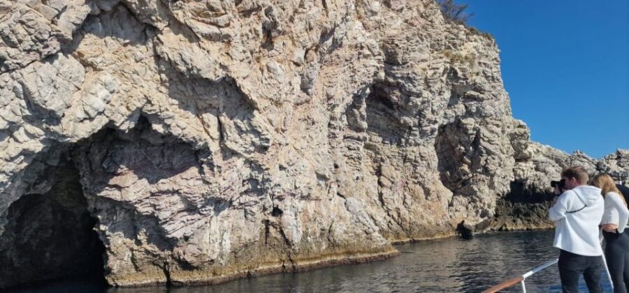 Taormina Coast Tour and Searching Dolphins - What to Expect on the Tour
