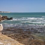 Tapas tour in Cádiz - Key Points