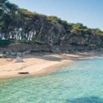 Taranto: Half-Day Boat Tour with Aperitif - Authenticity and Local Flavor