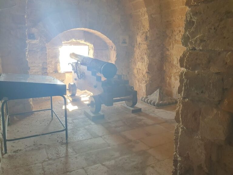 TARANTO PUGLIA WALKING TOUR UP AND DOWN - Who Should Consider This Tour?