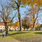 Targu Mures 3 hours walking tour - The Sum Up