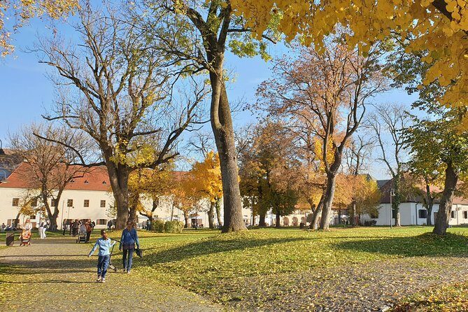 Targu Mures 3 hours walking tour - The Sum Up