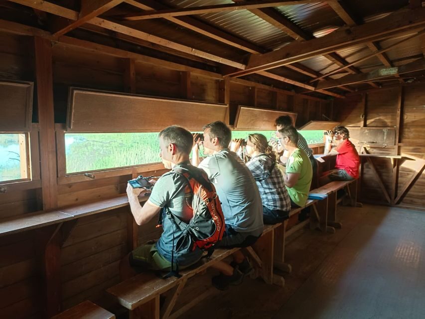 Tarragona: Southern Delta Birdwatching Private Tour - The Practicalities: What’s Included and What’s Not