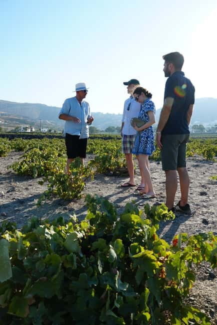 Taste & Create: Santorini Wine & Cooking Experience - Authentic Experiences and Genuine Value