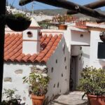 Taste Journey in an Ancient Canarian Village - Final Thoughts: Is It Worth It?