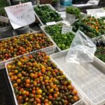 Taste of Setubal: Market Visit and Wine Tastings - A Deep Dive into the Experience