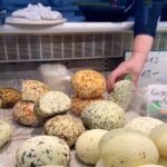 Taste Riga - Private Tour of Latvian Flavour - FAQ