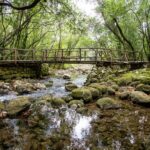 Taste & Tradition of Dubrovnik Countryside - Exploring Kameni Mlin: The Family House and Olive Oil