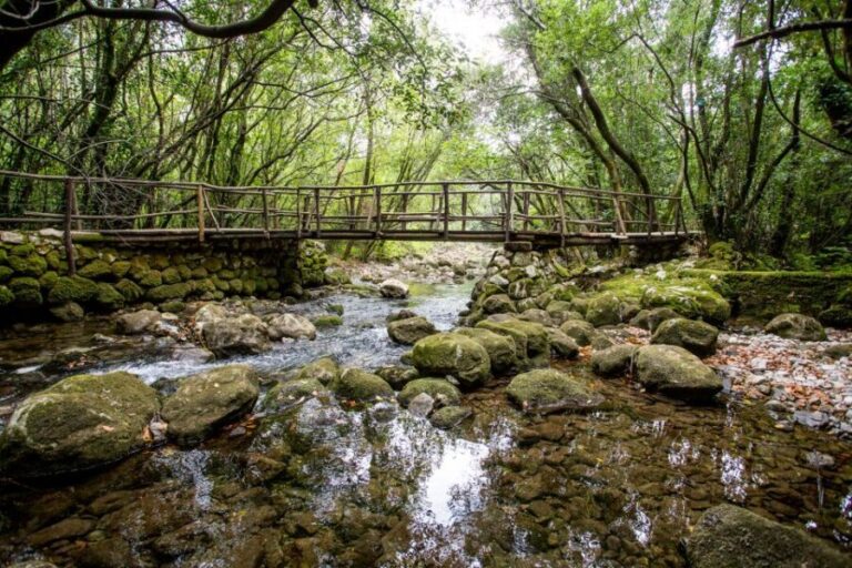Taste & Tradition of Dubrovnik Countryside - Exploring Kameni Mlin: The Family House and Olive Oil