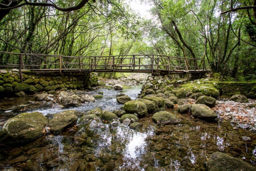 Taste & Tradition of Dubrovnik Countryside - Exploring Kameni Mlin: The Family House and Olive Oil