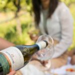 Taste with us Bardolino, Chiaretto and Lugana near Verona - Key Points