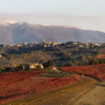 Tasting and tour of the winery - Discovering Umbria’s Sagrantino: A Deep Dive into the Experience