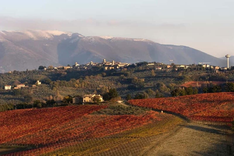 Tasting and tour of the winery - Discovering Umbria’s Sagrantino: A Deep Dive into the Experience