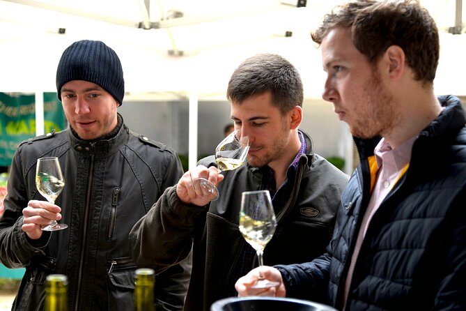 Tasting Chablis Domaine Clotilde Davenne in French - The Itinerary in Detail