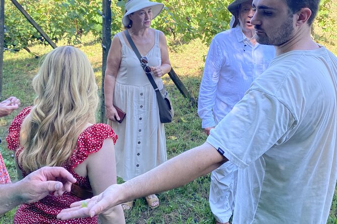 Tasting in a Tuscan Vineyard with transfer from Pisa - Key Points