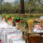 Tasting in the countryside of Conversano: Picnic among the olive groves - An In-Depth Look at the Olive Grove Picnic Experience