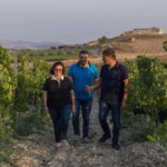 Tasting of EVO Wines and Oil in the countryside of Agrigento - Practical Details & Value