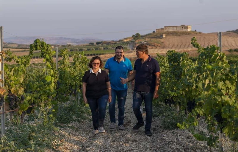 Tasting of EVO Wines and Oil in the countryside of Agrigento - Practical Details & Value