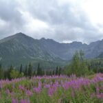 Tatras Mountains: Full-day Hiking Tour from Krakow - What Makes This Tour Stand Out?