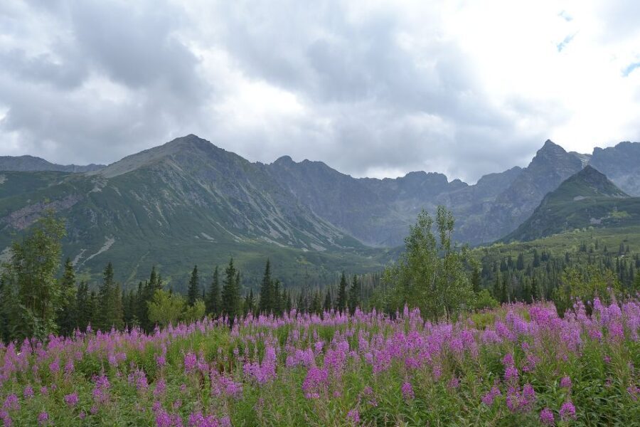 Tatras Mountains: Full-day Hiking Tour from Krakow - What Makes This Tour Stand Out?