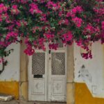 Tavira City & Ice Cream - A lively, informative journey through Tavira