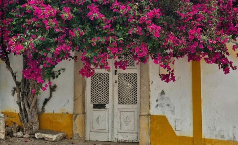 Tavira City & Ice Cream - A lively, informative journey through Tavira