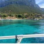 Tavolara, Snorkeling in the Marine Park - A Closer Look at the Tour Experience