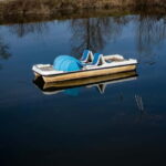 Tbilisi 2 Parks: Turtle Lake & Dedaena Park with Flea Market - Practical Details and Value