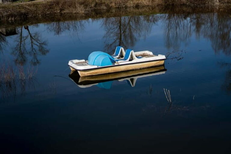 Tbilisi 2 Parks: Turtle Lake & Dedaena Park with Flea Market - Practical Details and Value