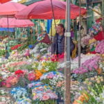 Tbilisi: Christmas Market & Hidden Gems Guided Walking Tour - The Real Value of This Tour