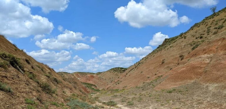 Tbilisi: David Gareja and Colorful hills of Semi-desert - The Overall Value and Practicalities