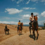 Tbilisi: Horseback Riding Experience - Why You Should Consider This Tour