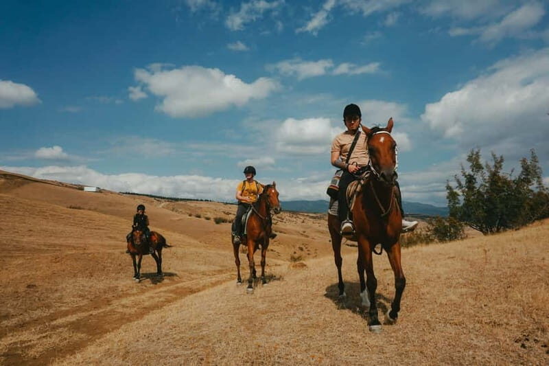 Tbilisi: Horseback Riding Experience - Why You Should Consider This Tour