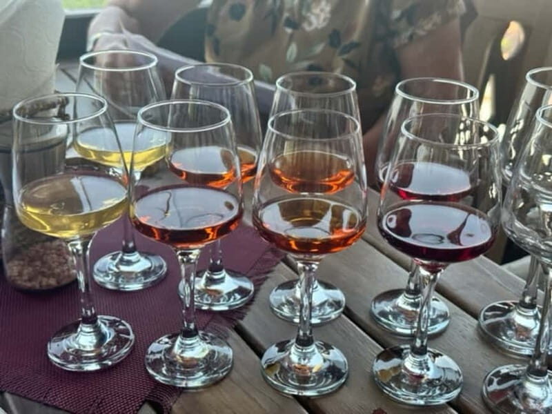 Tbilisi: Individual Wine Tasting with Professional Sommelier - Detailed Breakdown of the Experience