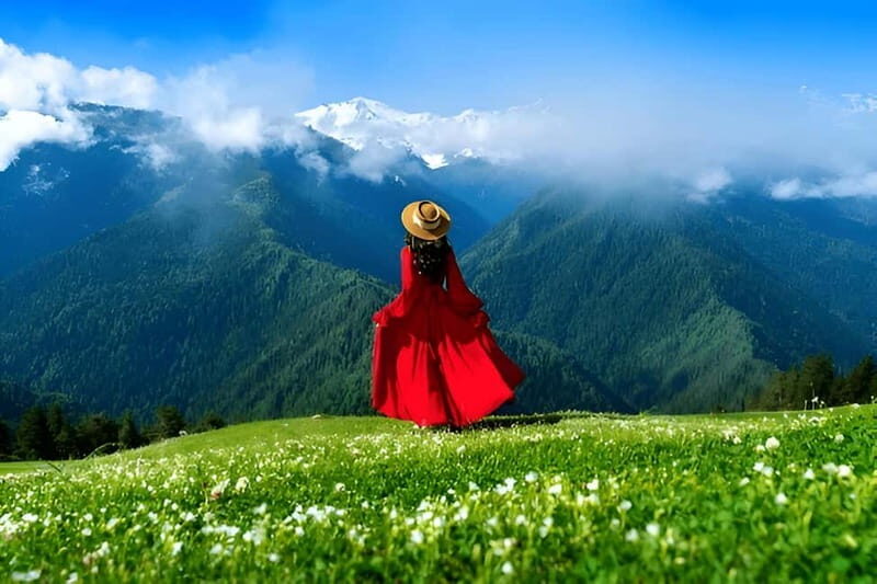 Tbilisi to Zhinvali Ananuri Gudauri Kazbegi Group GuidedTour - Practical Details & What to Expect