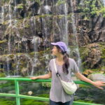 Tbilisi: Wild Waterfalls & Diamond Bridge Private Tour - The Value and Who It’s Perfect For