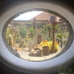 Teguise Vip Tour Minibus: Flea market, LagOmar, Cactus garden, Foundation - Additional Practical Tips