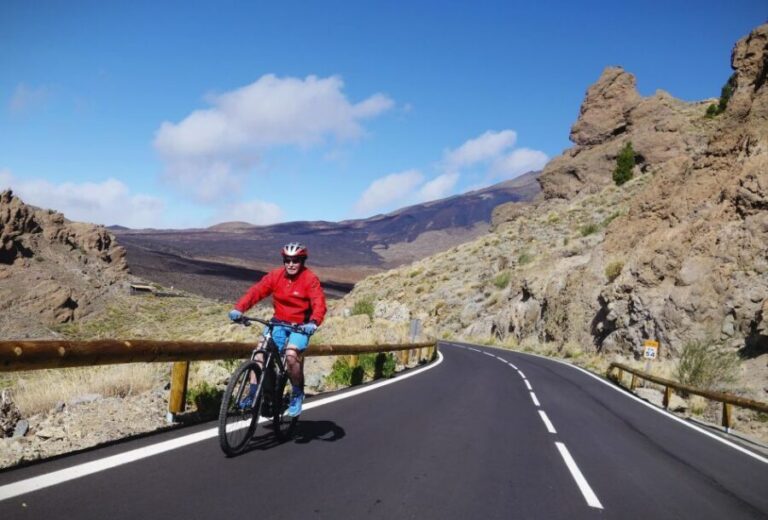 Teide Crater Tour - Electric Bike Tour - What to Expect From the Guides and Reviews