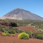 Teide National Park (5-7hours) - Additional Details and Tips