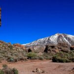 Teide National Park Full Experience with Professional Guide - Practical Details and What You Can Expect