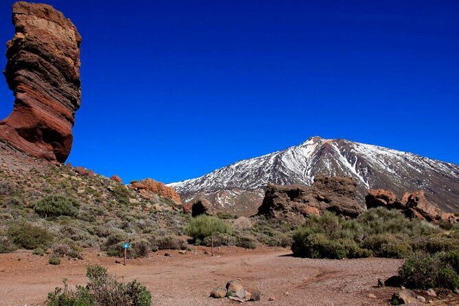 Teide National Park Full Experience with Professional Guide - Practical Details and What You Can Expect
