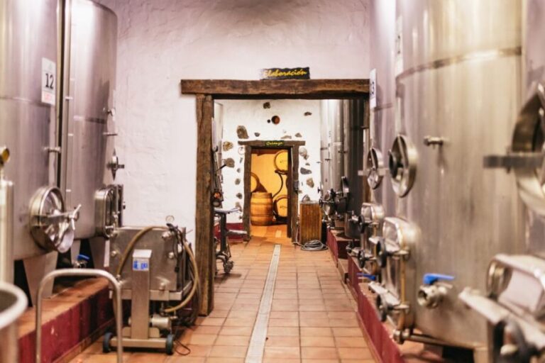 Teide Night Experience with Dinner and Stargazing - The Authentic Experience for the Curious Traveler