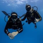Tenerife - 2 Guided Dives for Certified Divers - Half Day - The Itinerary: What You Can Expect