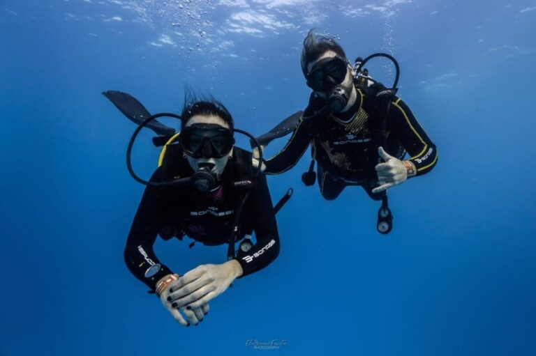 Tenerife - 2 Guided Dives for Certified Divers - Half Day - The Itinerary: What You Can Expect
