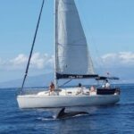 Tenerife: 3 &-6 Hour Private Whale & Dolphin Watching - What We Loved